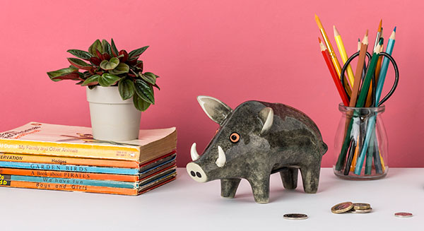 Novelty Ceramic Money Boxes | Hannah Turner