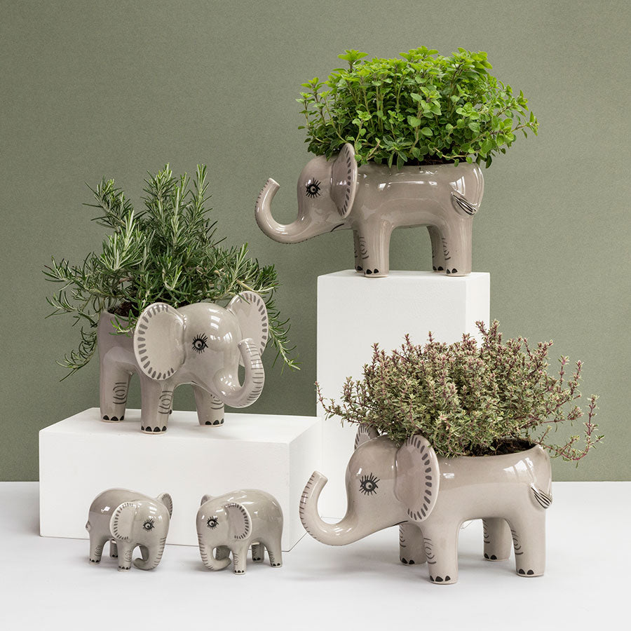 Handmade Novelty Ceramics & Pottery | Hannah Turner