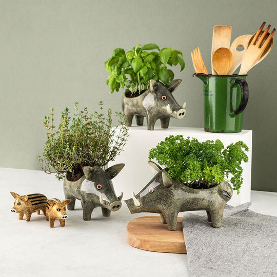 Handmade Ceramic Wild Boar Planter | Hannah Turner